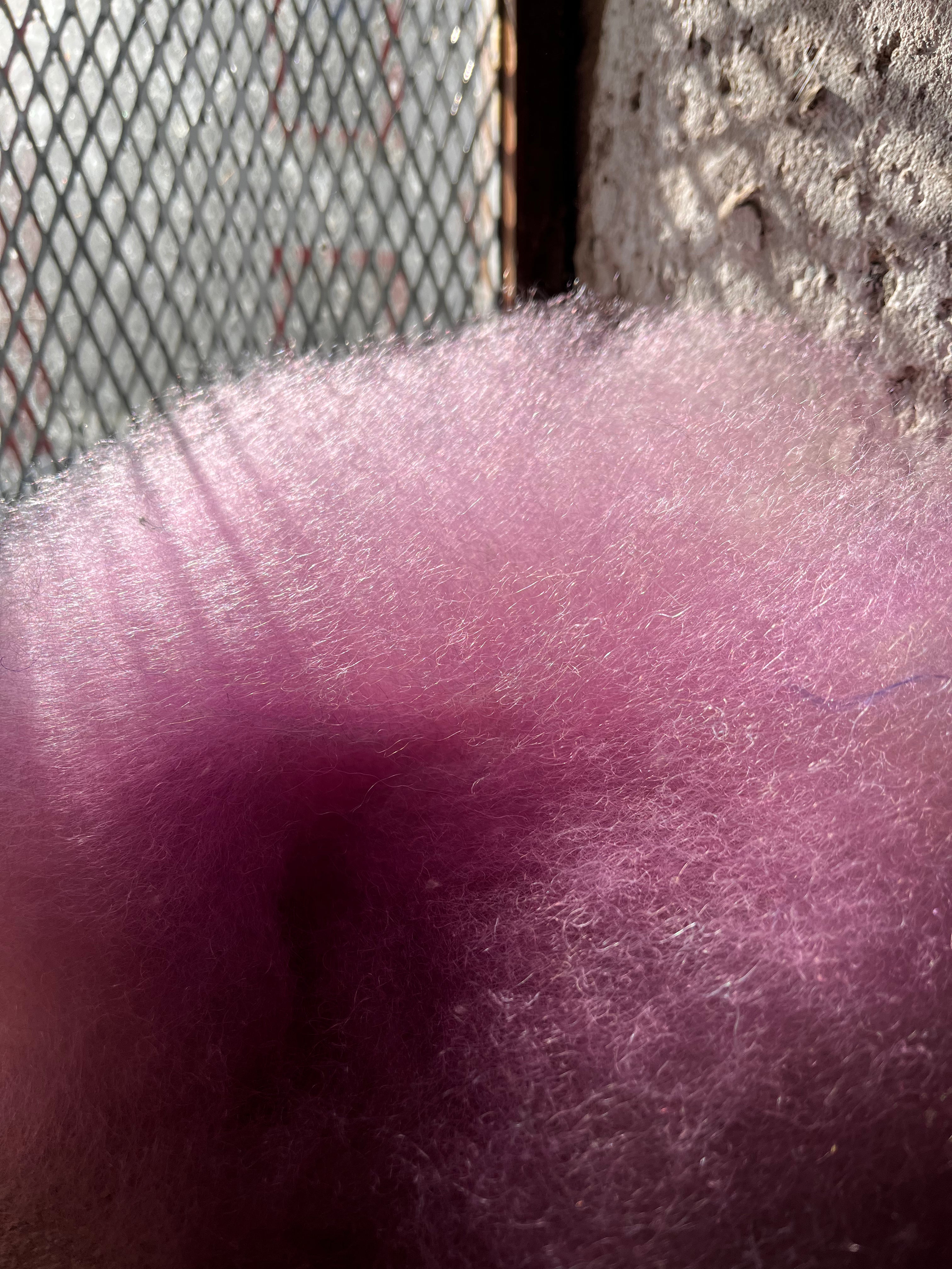 Toy Stuffing – Cushendale Woollen Mills